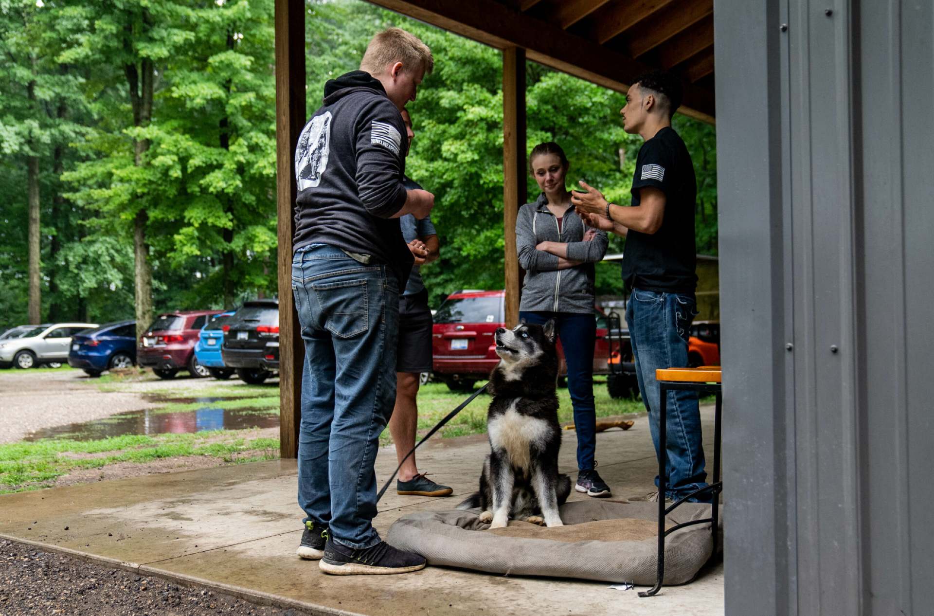 1 Week Stay & Train Program - WEST MICHIGAN K9